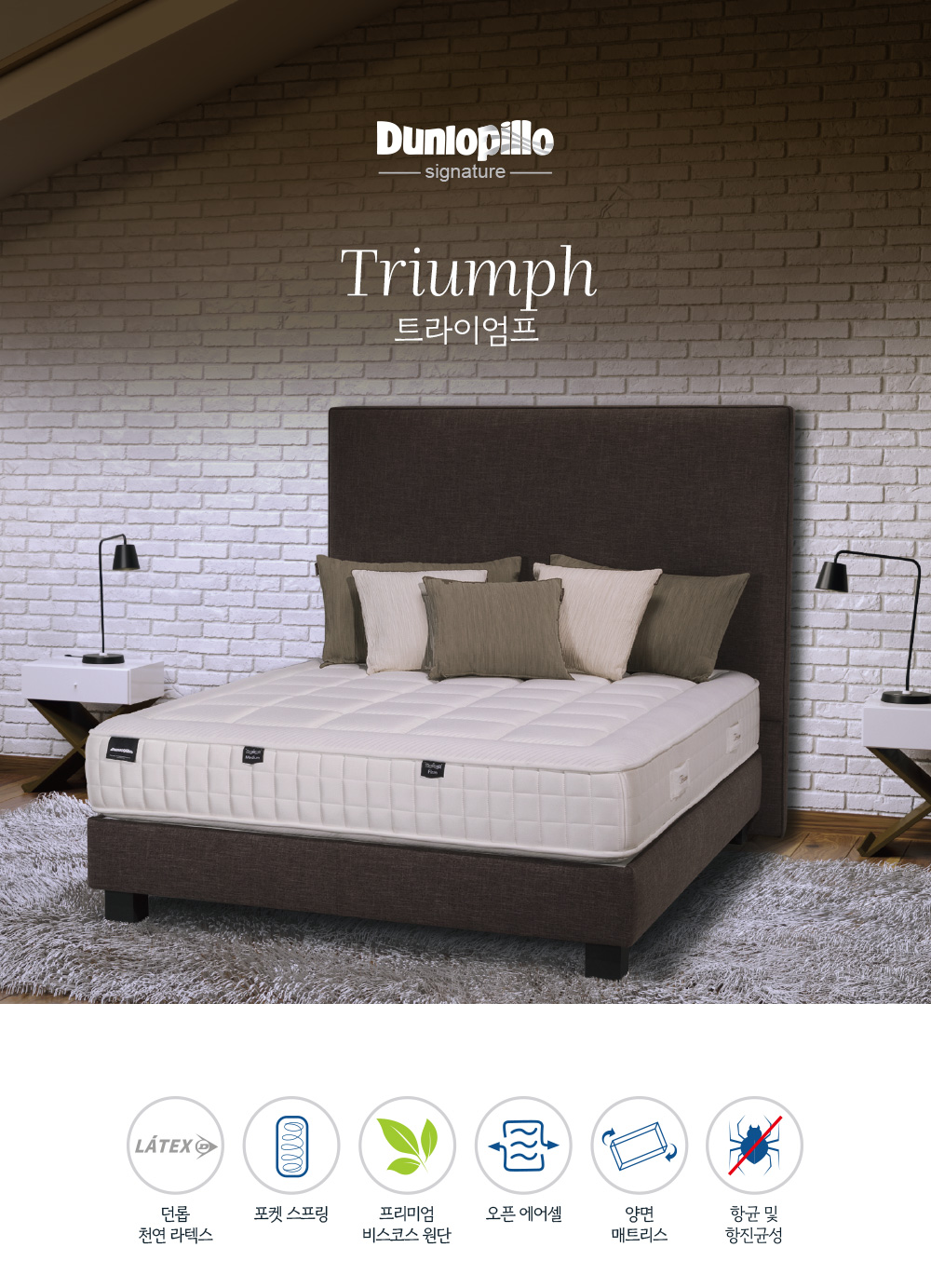 던롭필로몰